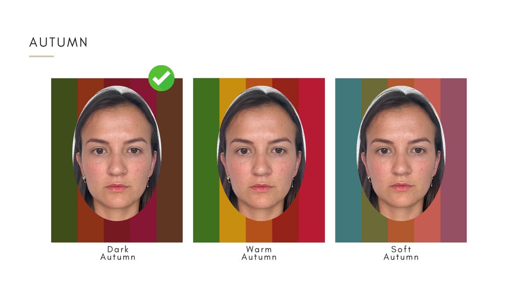 Online Color Analysis Tool For Color Analysts with Pantone Color Names ...